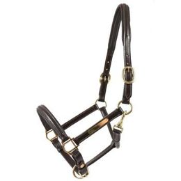 Hans Melzer Horse Equipment Hans Melzer Halfter Sahrendorf braun/messing WB EXTRA (KB-Kaltblut)