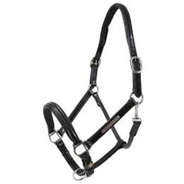 Hans Melzer Horse Equipment Hans Melzer Halfter Schwaiganger schwarz/silber WB EXTRA (KB-Kaltblut)