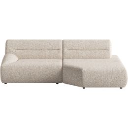 Sit & More Ecksofa SIT & MORE, B:260cm H:80cm T:130cmcappuccino, 100% Polyester, Wohnzimmer, Sofas, "Scrabble", Modernes Design in verschiedenen Stoffarten