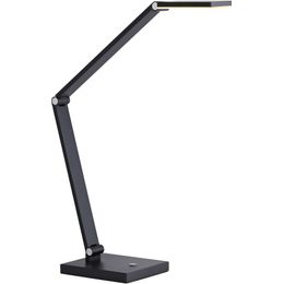 Paul Neuhaus LED Tischleuchte "SAMSKY", 1, H: 30cm, 1 Stk.grau, Leuchten, Touchdimmer, CCT 2700-5000K, Memoryfunktion, H&ouml;henverstellbar