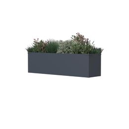 WESTMANN Pflanzk&uuml;bel 'Talus M' Stahl anthrazit 100 x 25 x 27 cm