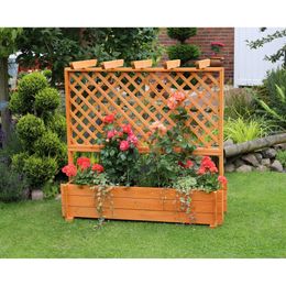 Promadino Rankkasten mit Pergola braun 140 x 140 x 46,5 cm