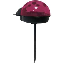 toom Solar Dekolicht 'Marienk&auml;fer' rot 14,5 cm
