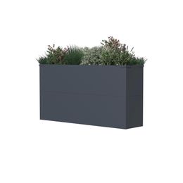 WESTMANN Pflanzk&uuml;bel 'Talus L' Stahl anthrazit 100 x 25 x 52 cm
