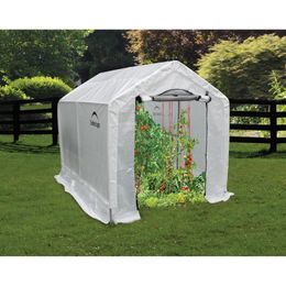 ShelterLogic Foliengew&auml;chshaus 240 x 180 x 200 cm inklusive Regalen