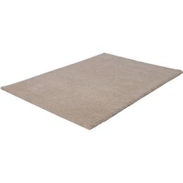 Gino Falcone Teppich &raquo;Guilia 001&laquo; rechteckig 15 mm H&ouml;he besonders weich durch Microfaser, ideal im Wohnzimmer & Schlafzimmer beige Kunstfaser B : 80cm 1 Stk., 15mm