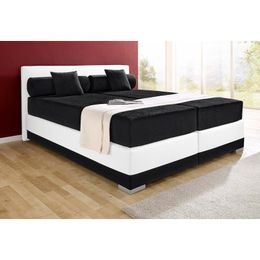 Maintal Boxspringbett &raquo;Lago&laquo; in 3 verschiedenen Matratzenarten, H2 oder H3 schwarz-wei&szlig; Bezug Kopteil und seitliche Unterbox wahlweise Microvelours aus 100% 