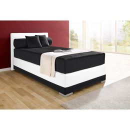 Maintal Boxspringbett &raquo;Lago&laquo; in 3 verschiedenen Matratzenarten, H2 oder H3 schwarz-wei&szlig; Bezug Kopteil und seitliche Unterbox wahlweise Microvelours aus 100% 