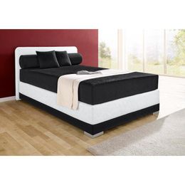 Maintal Boxspringbett &raquo;Lago&laquo; in 3 verschiedenen Matratzenarten, H2 oder H3 schwarz-wei&szlig; Bezug Kopteil und seitliche Unterbox wahlweise Microvelours aus 100% 