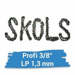 Profi S&auml;gekette 3/8" 1,3mm 62 TG 45 cm LP (Hobby) f&uuml;r DOLMAR, ECHO, Einhell mit Metallbox