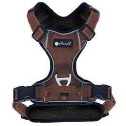 Petlando Outdoor Geschirr mokka