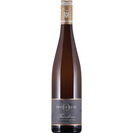 Weingut Rings Sauvignon Blanc 2025 Trocken - Pfalz &ndash; Wei&szlig;wein Keine Angabe