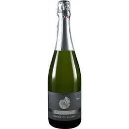 Bleimer Schlo&szlig; Blanc de brut Silvaner Brut - Franken &ndash; Perl- & Schaumwein Sekt b.A.