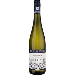 Weingut Philipp Kuhn Mineralstein Sauvignon Blanc 2023 Trocken - Pfalz &ndash; Wei&szlig;wein Keine Angabe