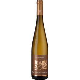 weingut gut hermannsberg Steinterrassen Riesling 2023 Trocken - Nahe &ndash; Wei&szlig;wein Keine Angabe