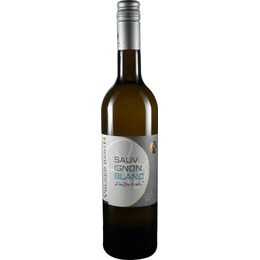 Weingut Volker Barth Sauvignon Blanc 2024 Trocken - Rheinhessen &ndash; Wei&szlig;wein Qualit&auml;tswein