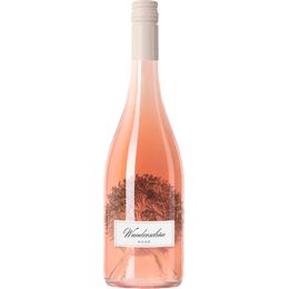 St.Antony Weingut St. Antony Wundersch&ouml;n 2024 Trocken - Rheinhessen &ndash; Ros&eacute; Keine Angabe