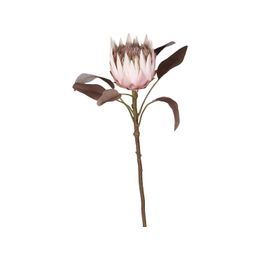 Chic Antique Fleur Kunstblume Protea H66 cm, altrosa