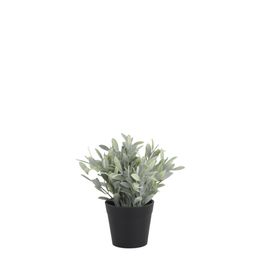 Chic Antique Fleur k&uuml;nstliche Petersilie 24 cm, &Oslash; 20 cm