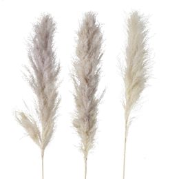Boltze Dekozweig Pampasgras dreiteilig L25 x B6 x H100 cm, natur