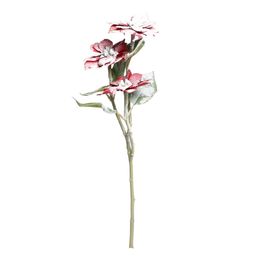 Chic Antique Fleur Weihnachtsstern mit Schnee und Glitzer L63 cm, antique cherry skandinavische Deko Online Shop