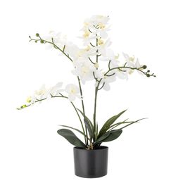 Bloomingville K&uuml;nstliche Orchidee, Kunstblume &Oslash; 16xH84 cm skandinavische Deko Online Shop