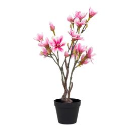 House Nordic K&uuml;nstlicher Magnolia Baum &Oslash; 30 cm, H&ouml;he 75 cm skandinavische Deko Online Shop