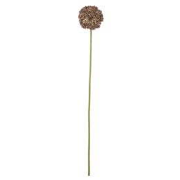 Bloomingville Allium Stiel, Braun, K&uuml;nstliche Blume &Oslash; 9xH70 cm skandinavische Deko Online Shop