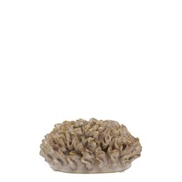 Chic Antique Deko Koralle f&uuml;r Deko, Wanddeko H7/L14,5/B14,5 cm latte skandinavische Deko Online Shop