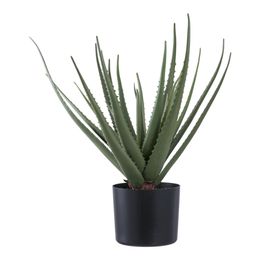 House Nordic Aloe Vera K&uuml;nstliche Gr&uuml;npflanze 51 cm, &Oslash; 30,5 cm skandinavische Deko Online Shop
