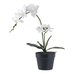 House Nordic K&uuml;nstliche Orchidee im Topf &Oslash; 34 cm, H&ouml;he 47 cm skandinavische Deko Online Shop