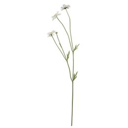 Chic Antique Fleur Gr&auml;ben Kante Blume 5 H57 cm, wei&szlig;