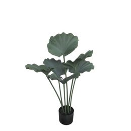 Chic Antique Fleur Strahlenpalme Kunstpflanze H85/&Oslash;18 cm gr&uuml;n