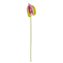 Bloomingville Flamingo Stiel, Pink, K&uuml;nstliche Blume &Oslash; 10xH57 cm skandinavische Deko Online Shop