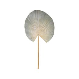 Chic Antique Kunstpflanze Palmen Blatt H74,5/B30,5 cm, staubgr&uuml;n