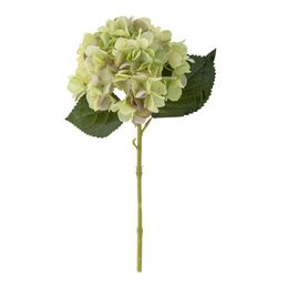 Bloomingville Wei&szlig;er Hydrangea Stiel, Kunstblume &Oslash; 16 x H36 cm skandinavische Deko Online Shop