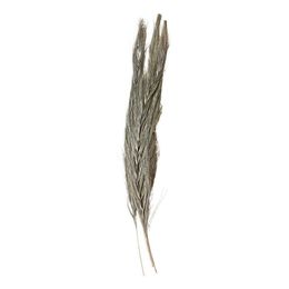 Chic Antique Fleur getrocknetes Gras H&ouml;he 100 cm skandinavische Deko Online Shop