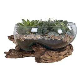 House Nordic San Marino Waterdrop Teakholz Wurzel mit Glasschale 2 26 x 26 x 20 cm skandinavische Deko Online Shop