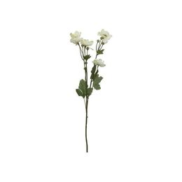 Chic Antique Fleur Butterblume k&uuml;nstlich H72 cm, creme skandinavische Deko Online Shop