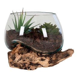 House Nordic San Marino Waterdrop Teakwurzel mit Glaschale ca 15 x 15 x 15 cm skandinavische Deko Online Shop