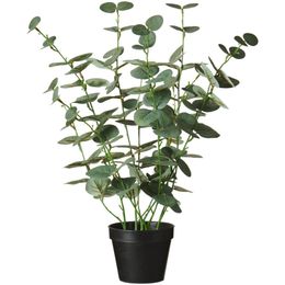 IB Laursen K&uuml;nstlicher Eukalyptus im Topf von IB Laursen H&ouml;he 52 &Oslash;: 25 cm skandinavische Deko Online Shop