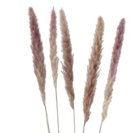 Boltze Dekozweig Pampasgras Natur 6 tlg. 85 cm