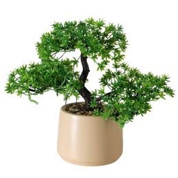 Boltze Bonsai k&uuml;nstlich im Topf 25 x 14 x 25 cm, beige, gr&uuml;n skandinavische Deko Online Shop