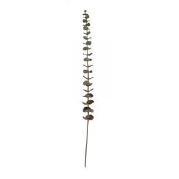 Chic Antique Fleur Eukalyptusbl&auml;tter H65 cm, bordeaux