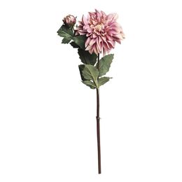 Chic Antique Fleur Dahlie bernstein skandinavische Deko Online Shop