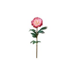 Chic Antique Fleur Pfingstrose H74 cm, rosa skandinavische Deko Online Shop