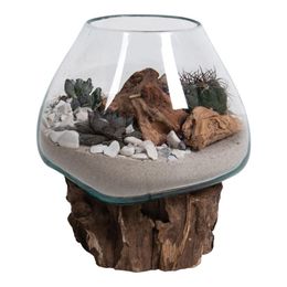 House Nordic San Marino Waterdrop Glas Schale auf kleinem Teakholz St&auml;nder 18 x 15-20 x 20 cm