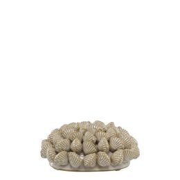 Chic Antique Koralle mit Muscheln f&uuml;r Deko H6/L14,5/B14,5 cm creme skandinavische Deko Online Shop