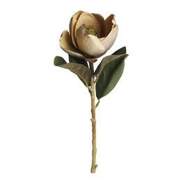 Chic Antique Fleur Magnolia beige