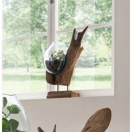 Faktorei Deko-Wurzel mit Glasvase in Tropfenform Teak-Holz 25 cm
